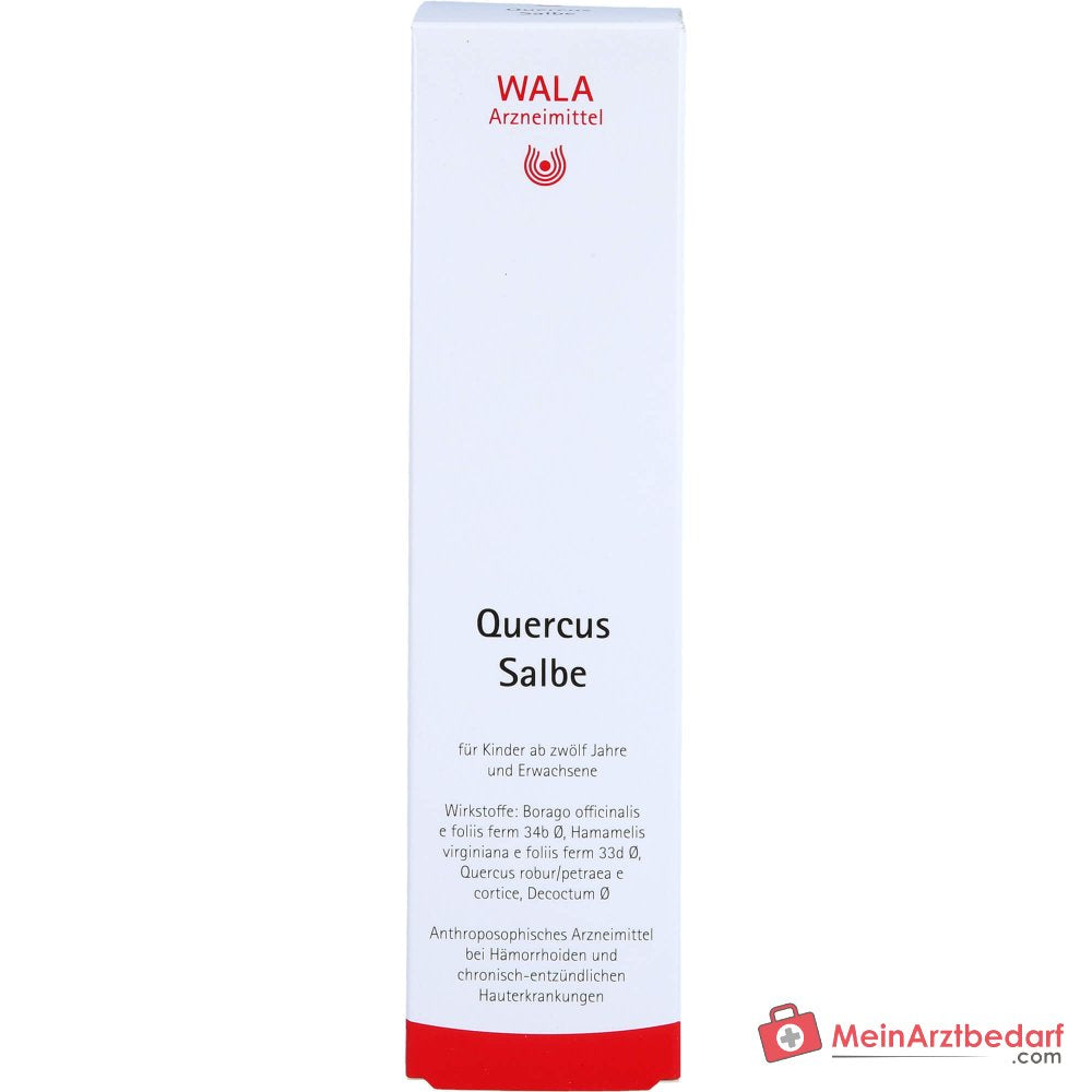 WALA Quercus Salbe, 100 g | MeinArztbedarf.com