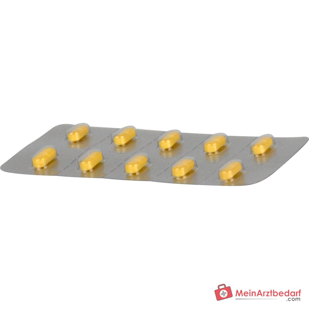 Karsivan 100 vet Propentofylline 100 mg tabletki 60 sztuk ...